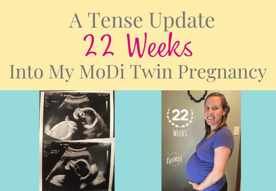 Twin Pregnancy Progression Photos from 4 Weeks to 34 Weeks - The Way It ...