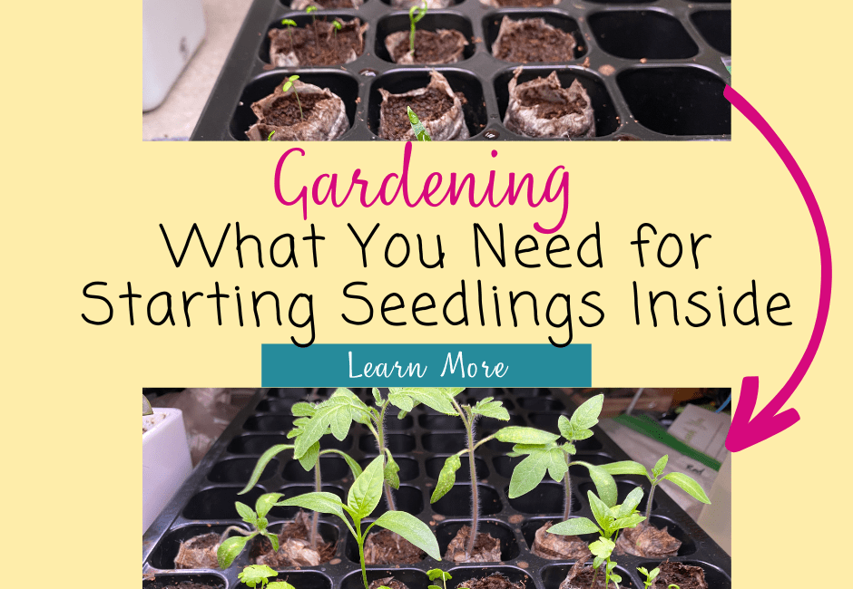 Gardening: What You Need for Starting Seedlings Inside - The Way It ...