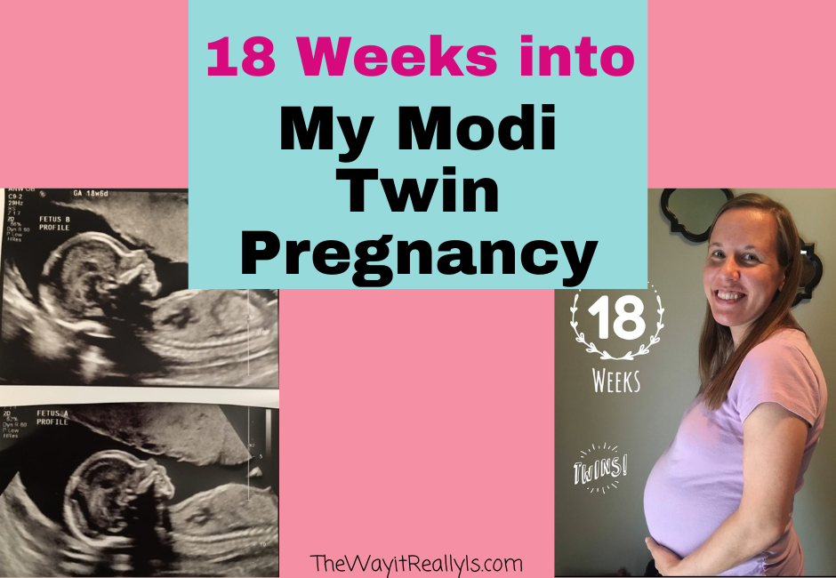 Twin Pregnancy Progression Photos from 4 Weeks to 34 Weeks - The Way It ...